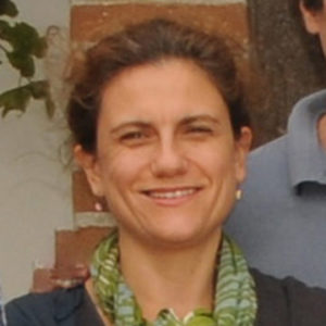 Research Groups - MED - Instituto Mediterrâneo para a Agricultura ...