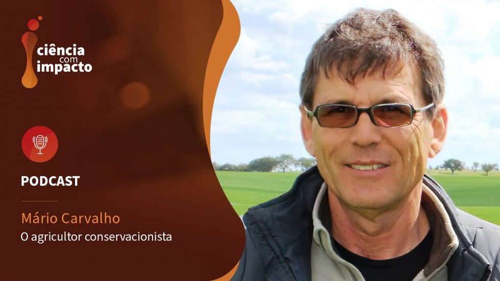 Mário Carvalho, o impacto social e ambiental no Alentejo da agricultura ...