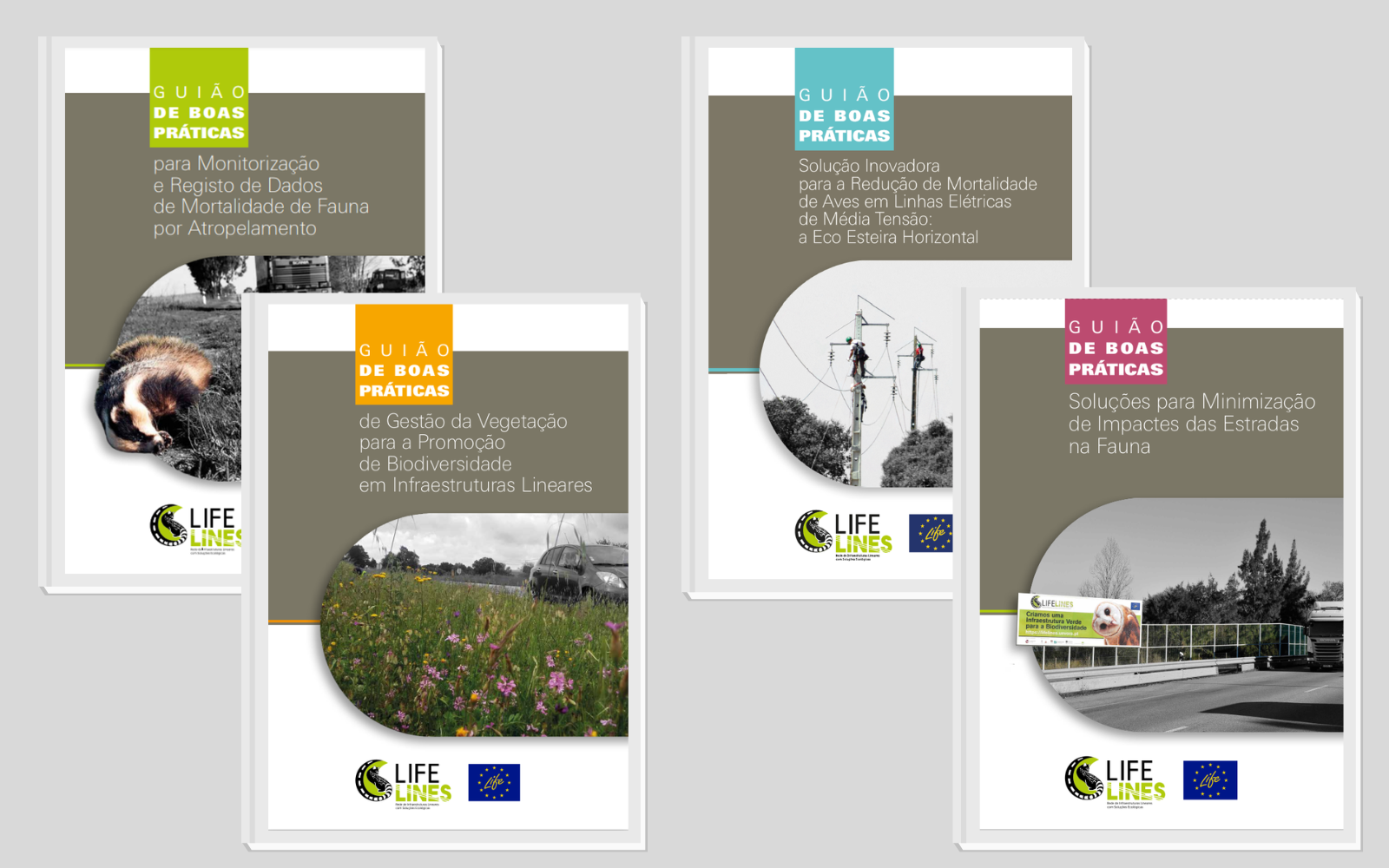 Guiões de Boas Práticas Projeto LIFE LINES - MED - Instituto ...