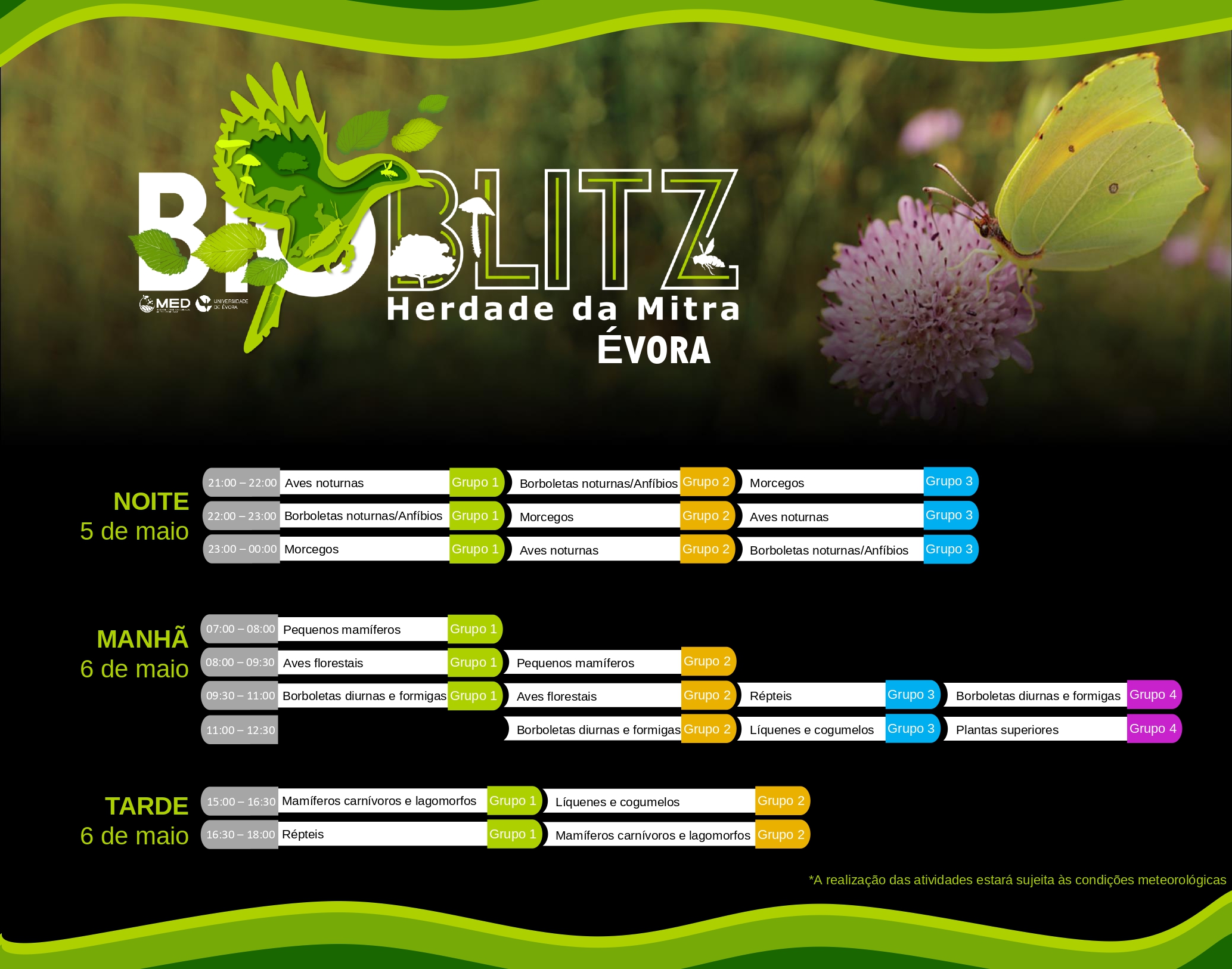 5&6 MAIO | Primeiro BioBlitz da Herdade da Mitra - MED - Instituto Mediterrâneo para a ...