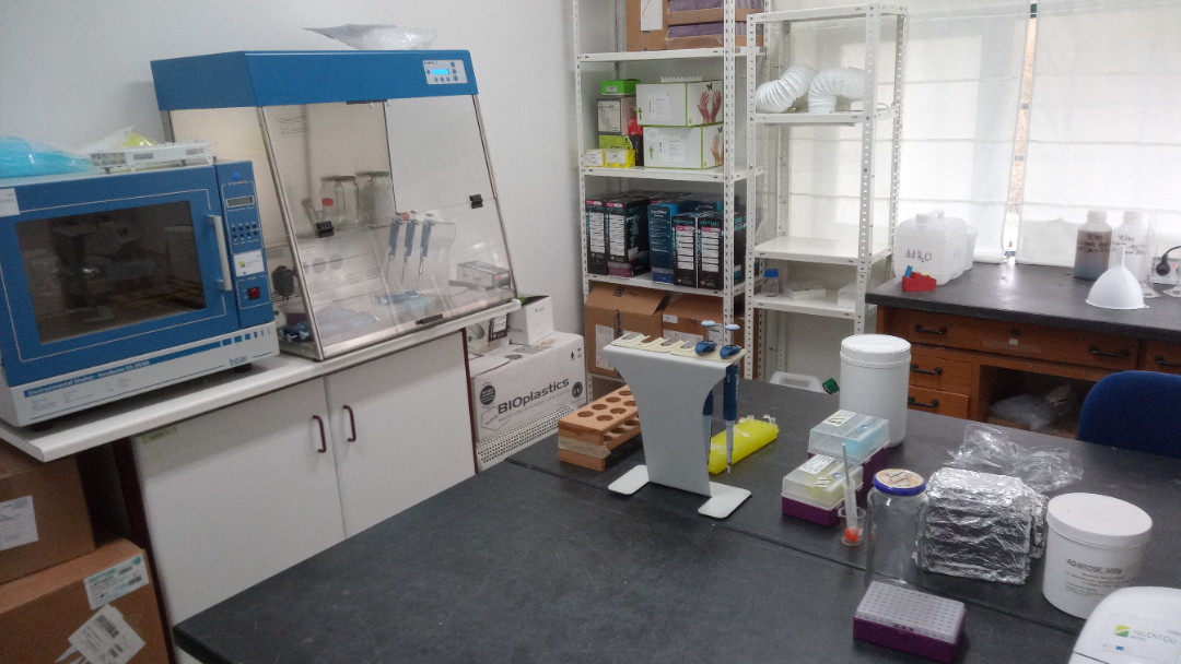 MED Units - MED - Instituto Mediterrâneo para a Agricultura, Ambiente e ...