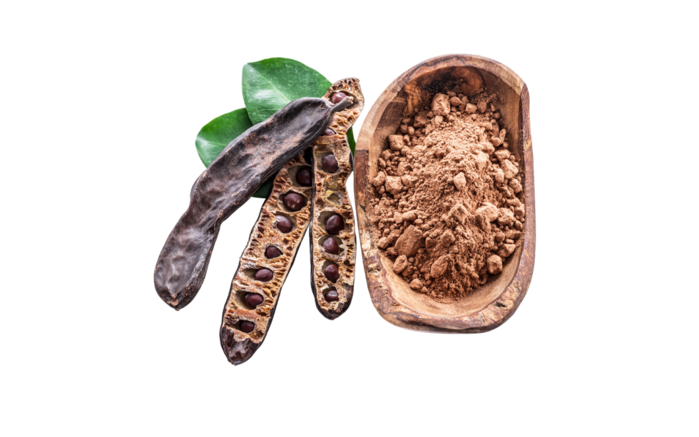 Alfarrobeira: uma planta mediterrânica valiosa com muito potencial para explorar